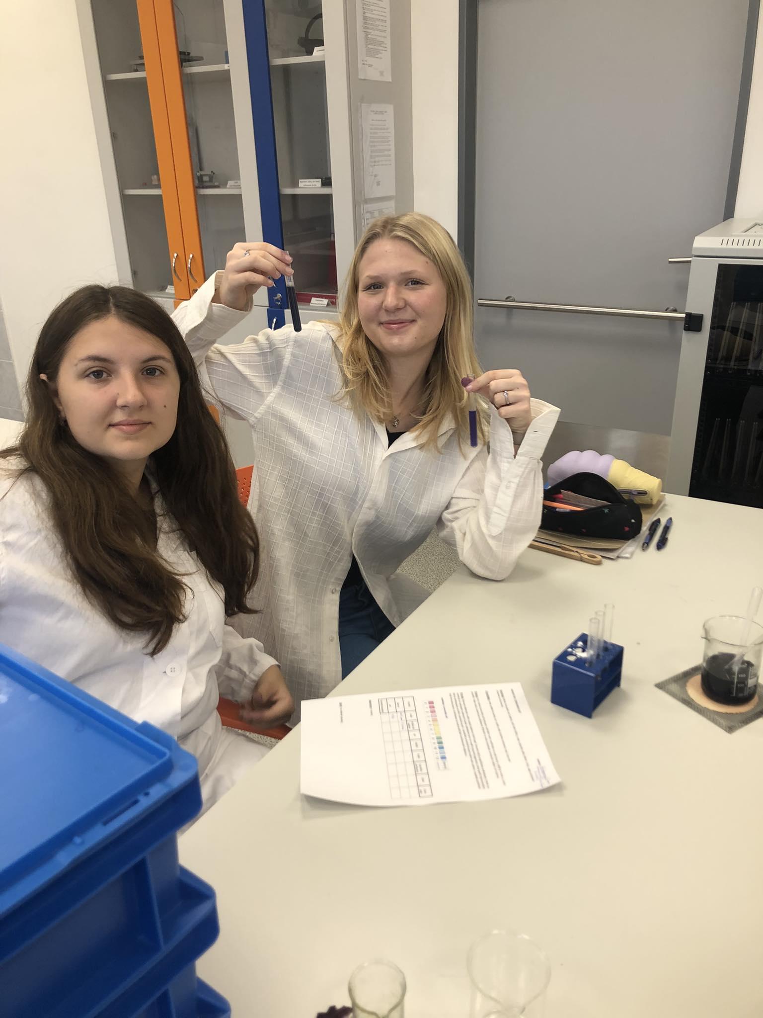 Laboratorní práce z chemie | Základní škola Pardubice-Dubina, Erno ...